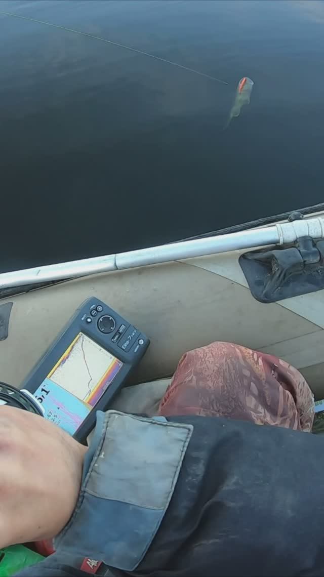 СУДАК НА ВИБЫ/В ОТВЕС-С ЛОДКИ/РЫБАЛКА НА ВОЛГЕ/ЛОВЛЯ СУДАКА/РЫБАЛКА В САМАРЕ/ПОКЛЁВКА СУДАКА/РЫБАК87