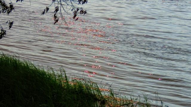 На Оби - баржи, катера, закат и ночь(13 июля, 19 г) ч 2