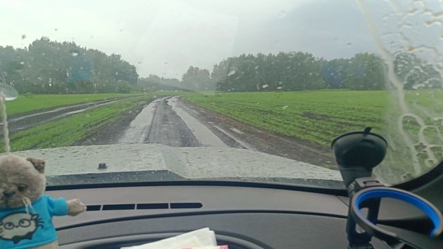 Offroad до урочища #поискмонет #монеты #equinox900 #equinox #minelab #металлоискатель #коп #39