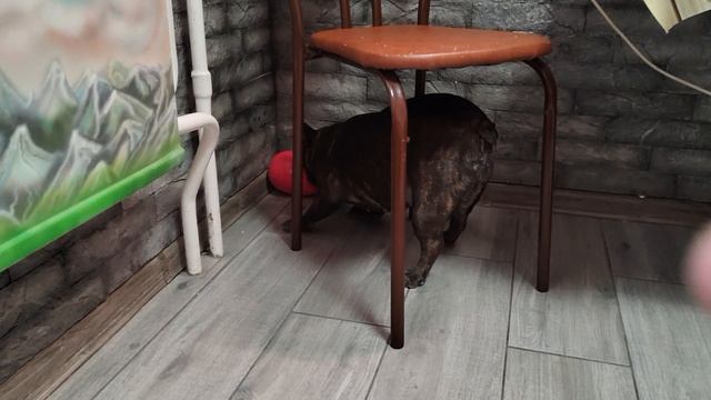 невозможно остановить