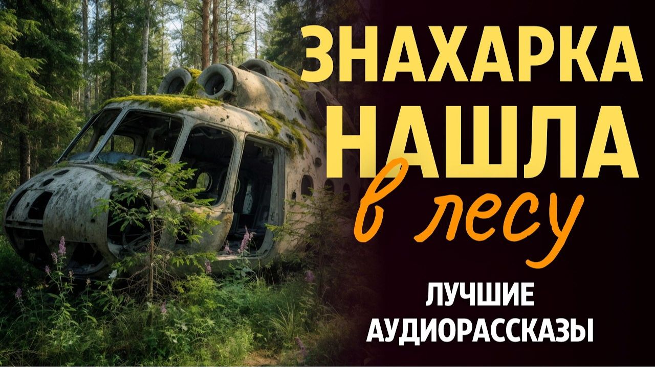 «ЗНАХАРКА НАШЛА В ЛЕСУ» | Реальная История | История из жизни | Слушать Историю | Аудиокнига