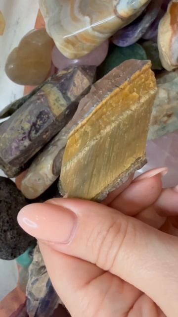 А вы знаете, что тигровый глаз двигается?