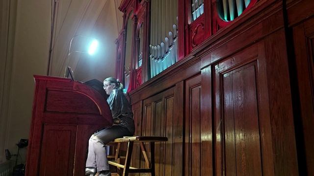 Камиль Сен-Санс `Карнавал животных` - Черепахи