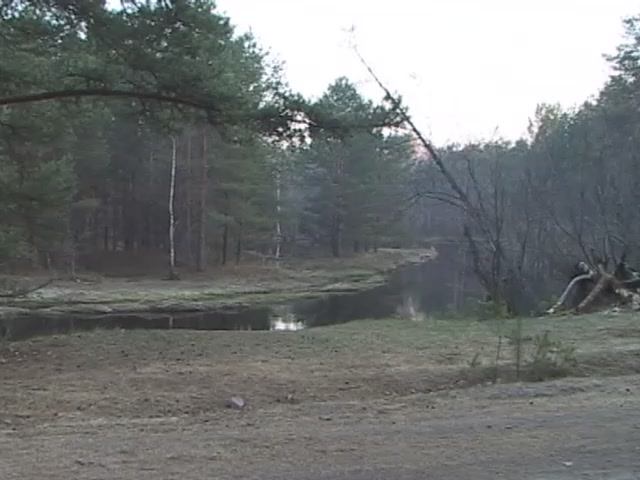 Майский Слет ЭСТА МИФИ 2006 Сцены из жизни