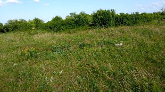 Исчезнувший посёлок Табунный, Калининский район.