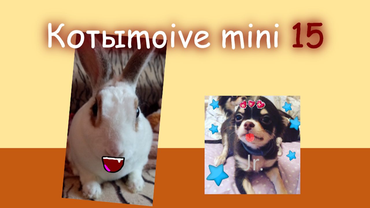 Котыmovie mini 15