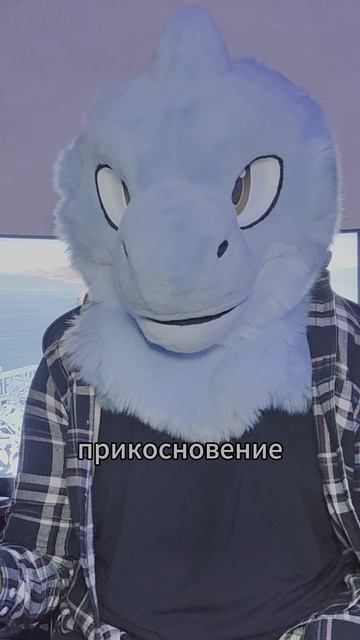 Почему нельзя 🦈акул бупать за 👃нос? #furry #shark #fursona #fursuit #фурри #акула #почему #мем #me