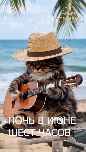 ночь в июне всего шесть часов
