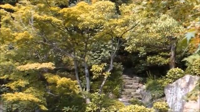 Гитарная музыка２８ @TheLonelyBand