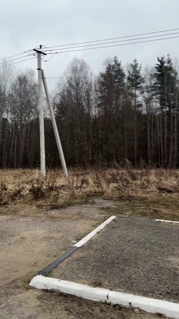 Продается земельный участок 25 сот. в деревне Вязьмино, за автобусной остановкой, Александровский рн