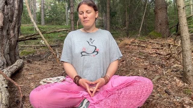 Смыслы жизни.