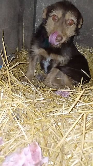 Когда льёт как из ведра — каждый заслуживает кусочек тепла