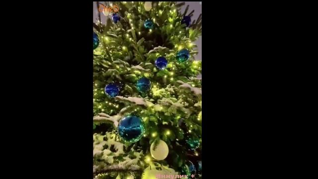 ДЕД МОРОЗ НЕ РАД. Новогодняя песня.Песни от ЧеДа.