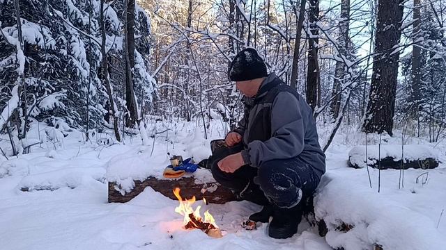В лес в любую погоду.