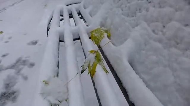 Согдиана   “Подснежник“