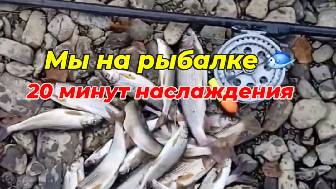 Мы на рыбалке 🐟