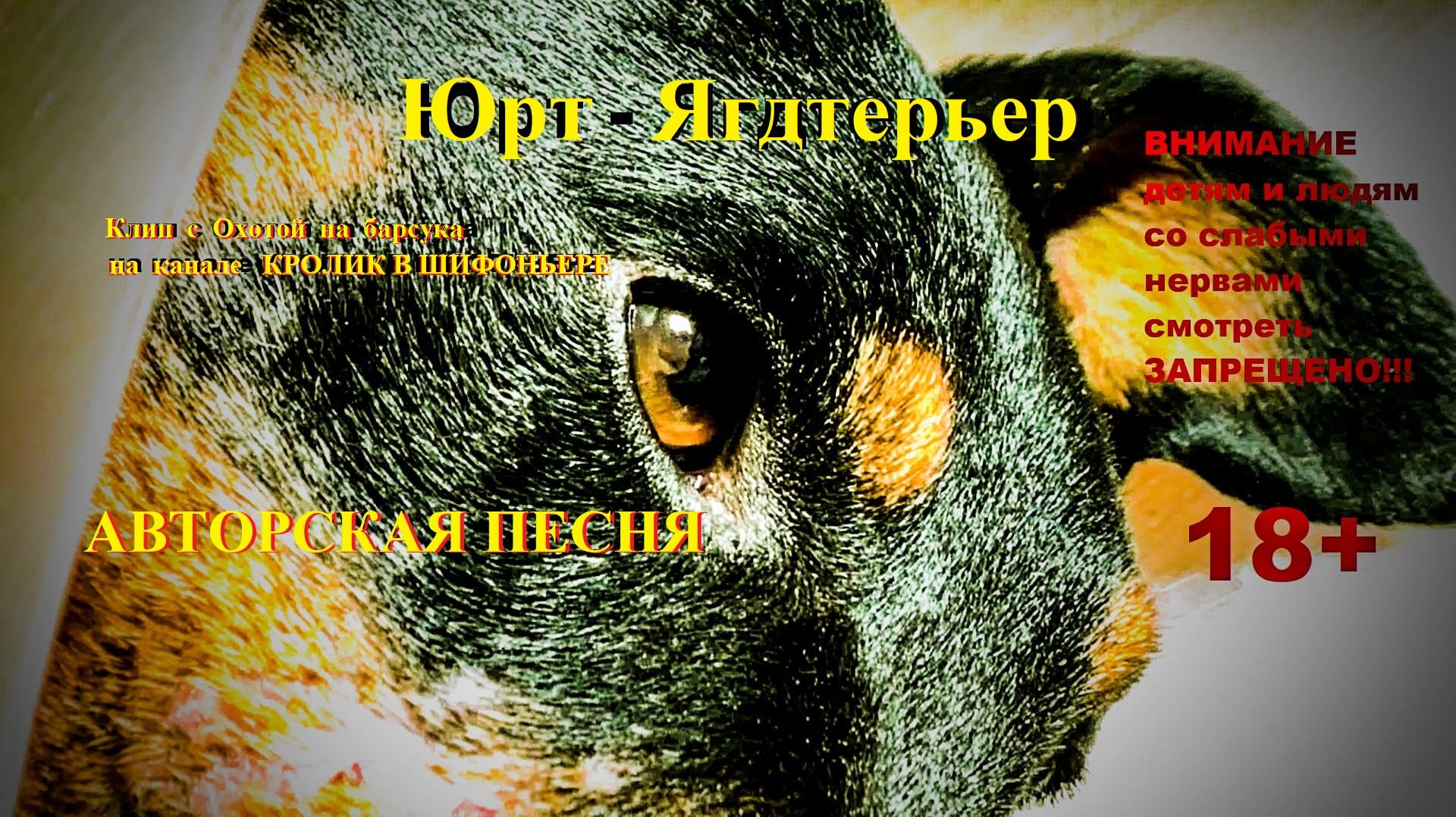 Авторская песня про охоту//Охота с Ягдтерьером.