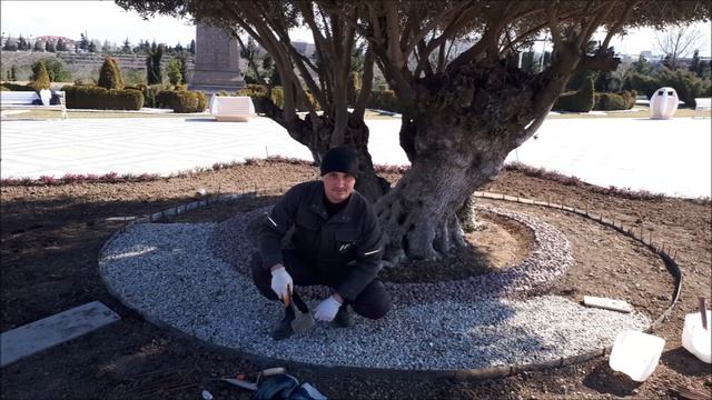 Ландшафтный дизайн.