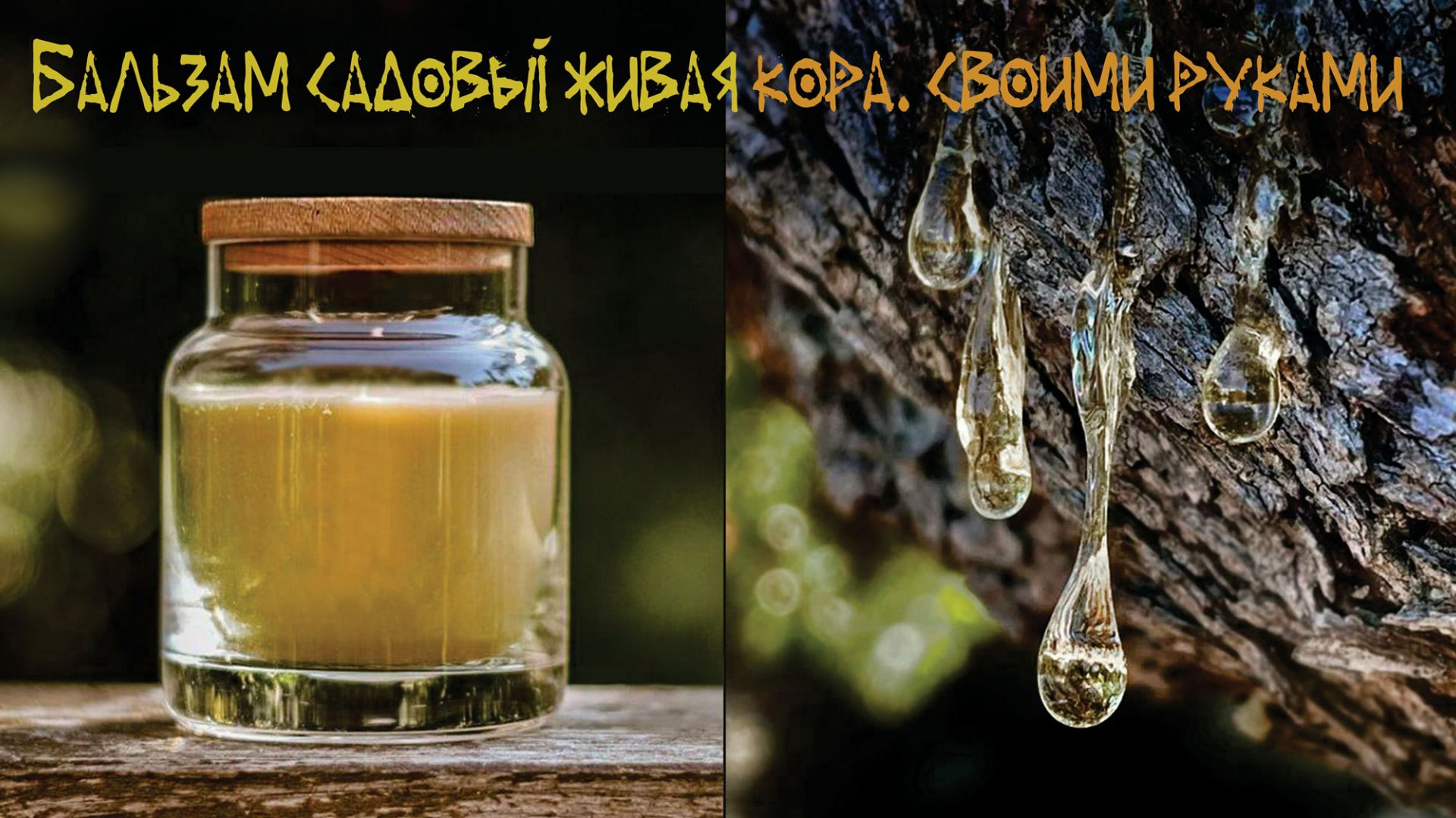 Бальзам садовый - Живая кора.  Своими руками.