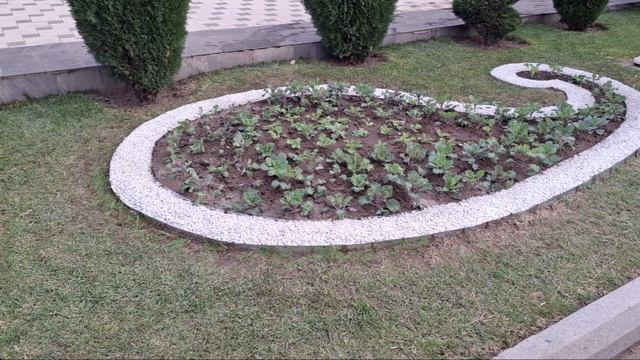 РАБОТА ГИРИНА РУСЛАНА - ГОРОД ГЯНДЖА - ПАРК ИМЕНИ ГЕЙДАРА АЛИЕВА.