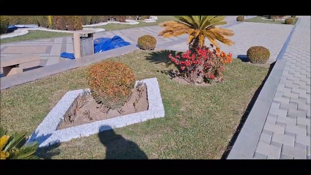 Ландшафтный дизайнер Гирин Руслан  (город Гянджа).