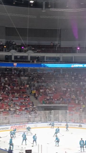 "Танцуем" - Нилетто был этой осенью на хоккее "Сочи" - "Ска"