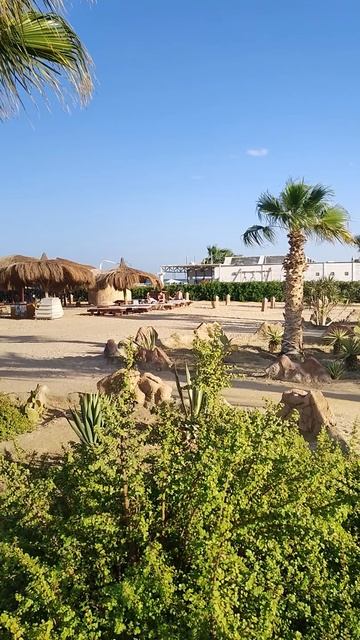 Египет, неделя активного отдыха