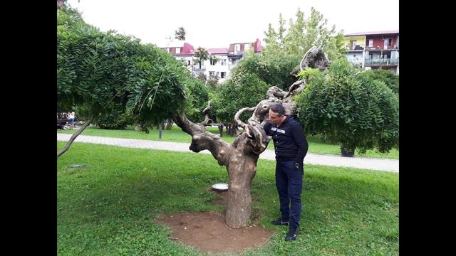 МАЛЕНЬКИЙ РОМАН НА ЛЕТНЕМ ПЛЯЖЕ. ♡♡