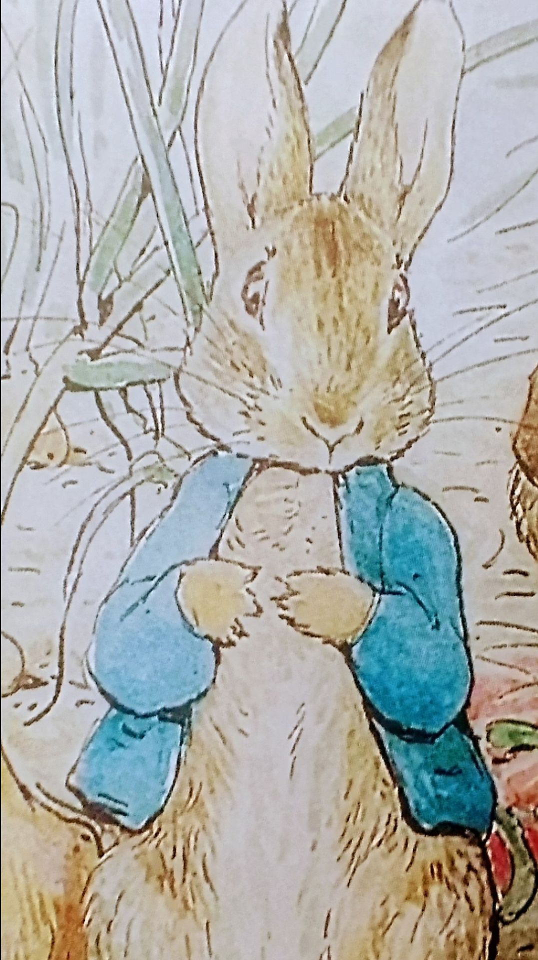 КРОЛИК  ПИТЕР. СКАЗКА 🐰