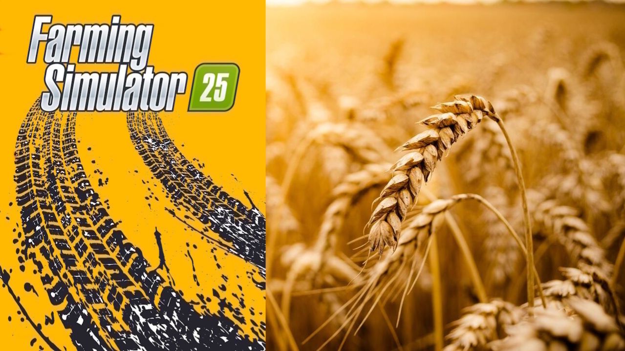 Уборочная Овса / FS25 Карта ЗарЯ ч.7/ Farming Simulator 25 🐄🌻🌽
