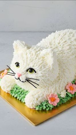 Милые котики кушают вкусняшки!Cute cats are eating delicious treats!