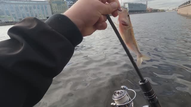 СПИННИНГ С АЛИЭКСПРЕСС,РАБОЧАЯ ПАЛОЧКА ЗА КОПЕЙКИ🔥🔥🔥