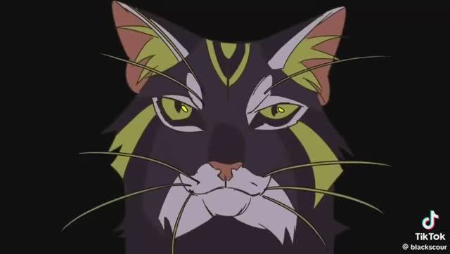 Коты воители/meme/