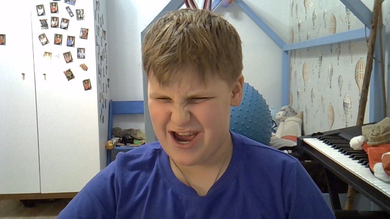 я стал злым мистером бистом на 24 часа