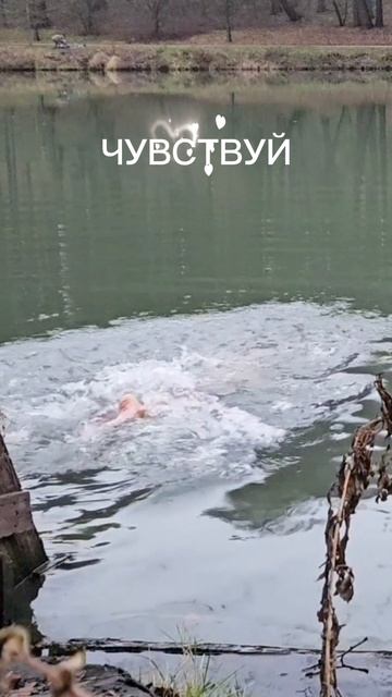 Не спеши