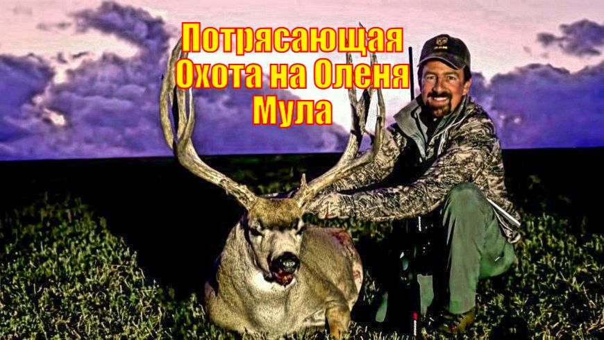 Потрясающая Охота на Оленя Мула заканчивается в Последний день, при последнем свете Дня