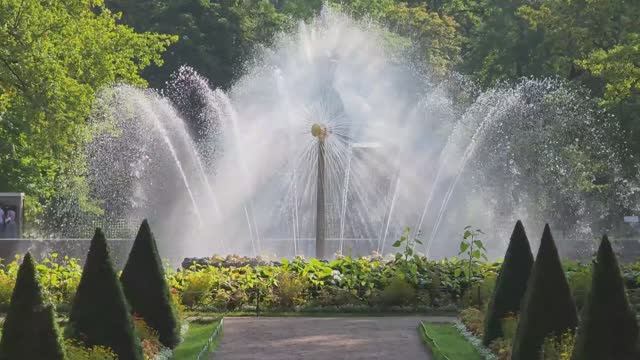 Магия воды и света в Петергофе. Эссе