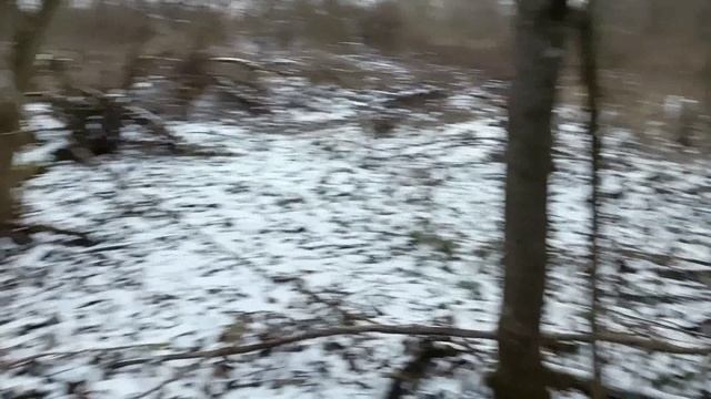 Декабрьский коп