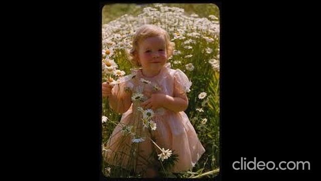 Березка у дома