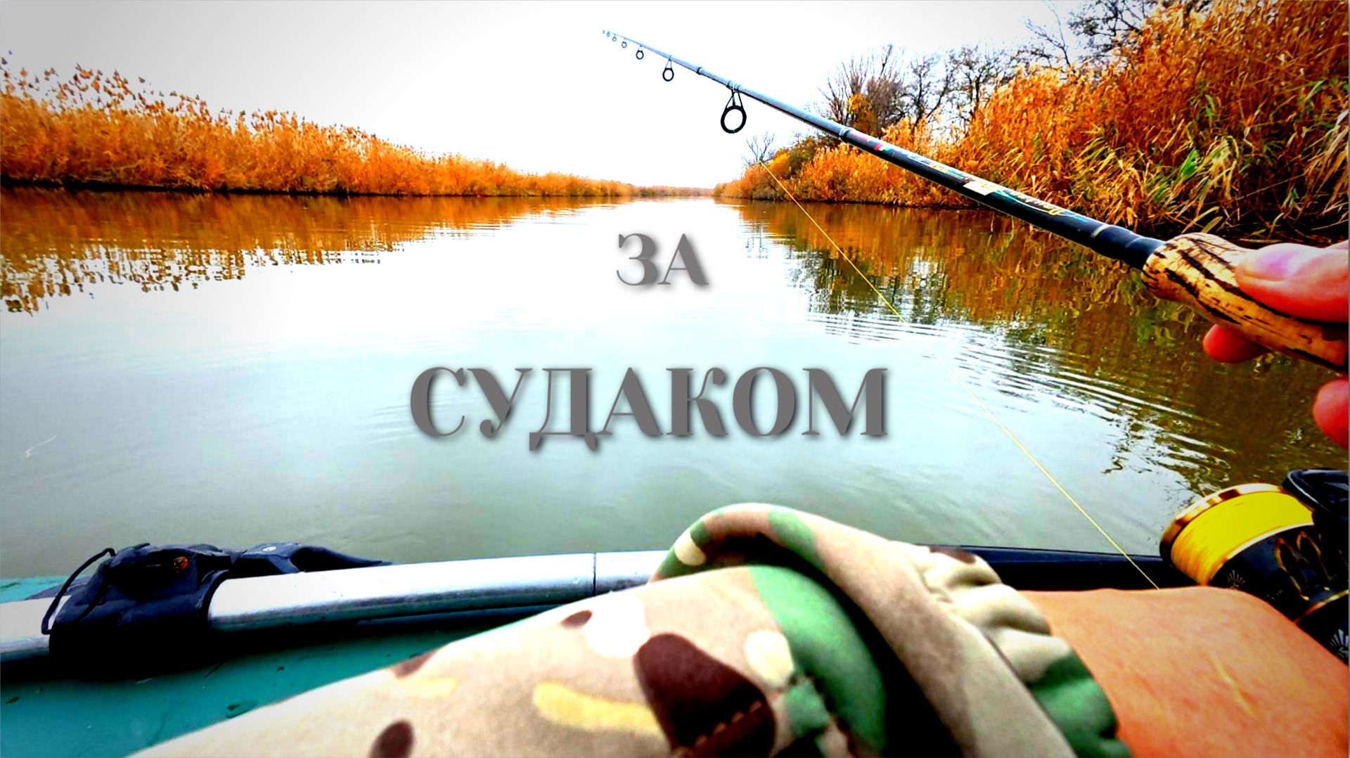 УГОВОРИЛ КЛЫКАСТЫХ НА ПОКЛЁВКИ!ЛОВЛЯ СУДАКА в ПРЕКРАСНУЮ ПОГОДУ!РЫБАЛКА 2025!