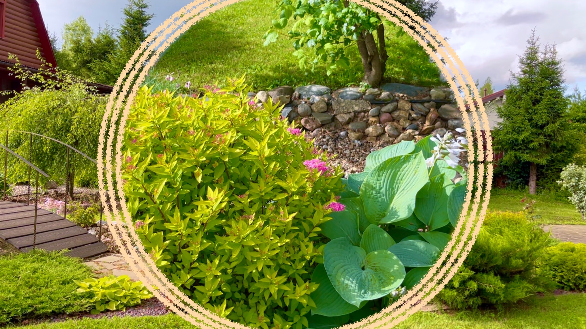 Как подружить рокарий, дорожку, кострище с зоной отдыха и сухой ручей с остальным садом.