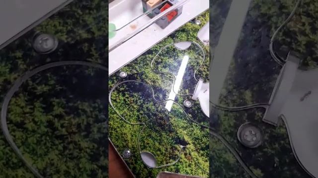 Уборка, новый белковый корм и дикор с сайта антпланет!