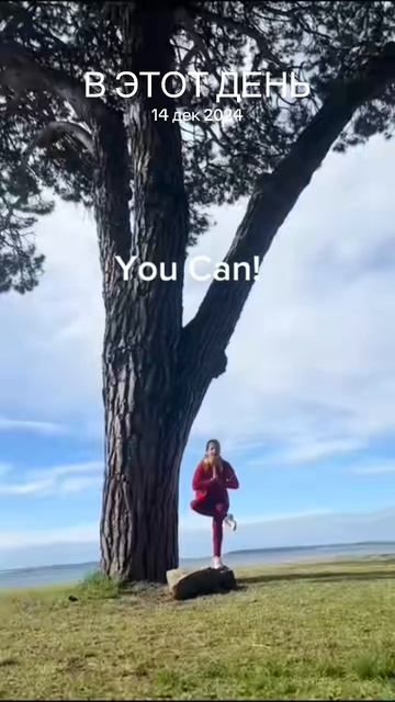 Когда жизнь кипит