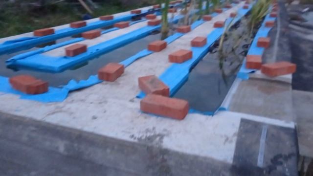 Обклеил бетонное биоплато винилитом-1