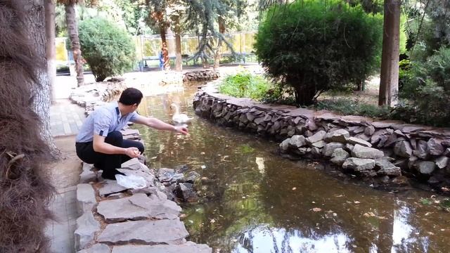 РУСЛАН КОРМИТ ЛЕБЕДЯ.