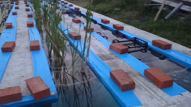 Оклеил бетонное биоплато винилитом-2