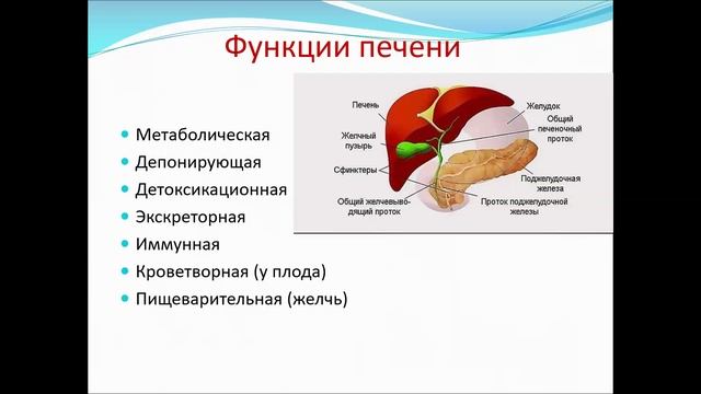 Физиология ребенка. Л5. ЖКТ. Моисеева Н.М.