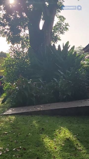 Как продать разбитый автомобиль?