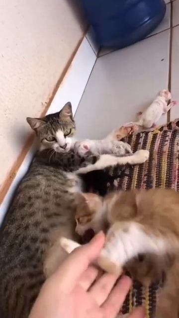 When you grew up but you live with your mom