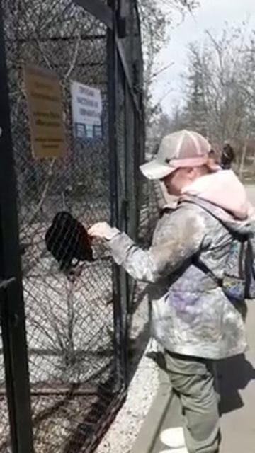 17 апреля. Парк львов _Тайган_🦁🦁🦁. Часть 9.